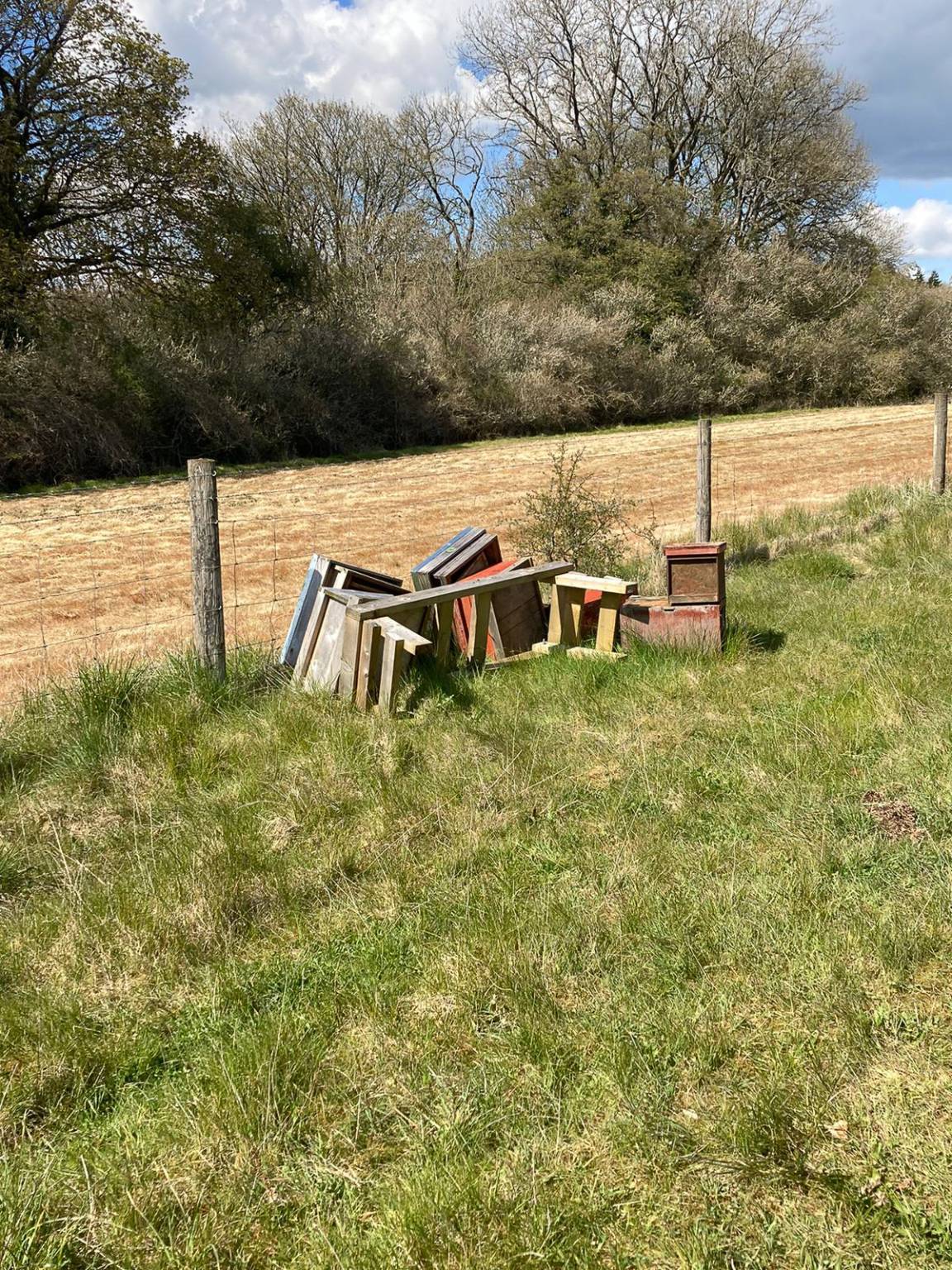 Five Things To Consider When Siting Your Beehive